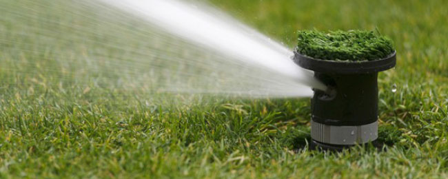 Coastal Turf ‘n’ Soil | Watering Your New Turf